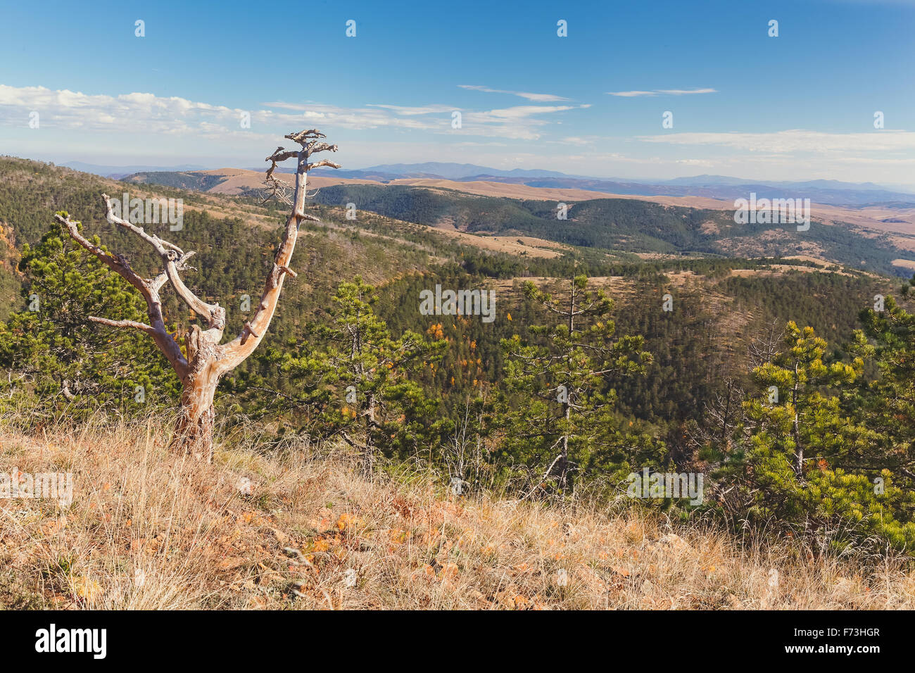 Serbische landschaft Stockfotos und -bilder Kaufen - Alamy