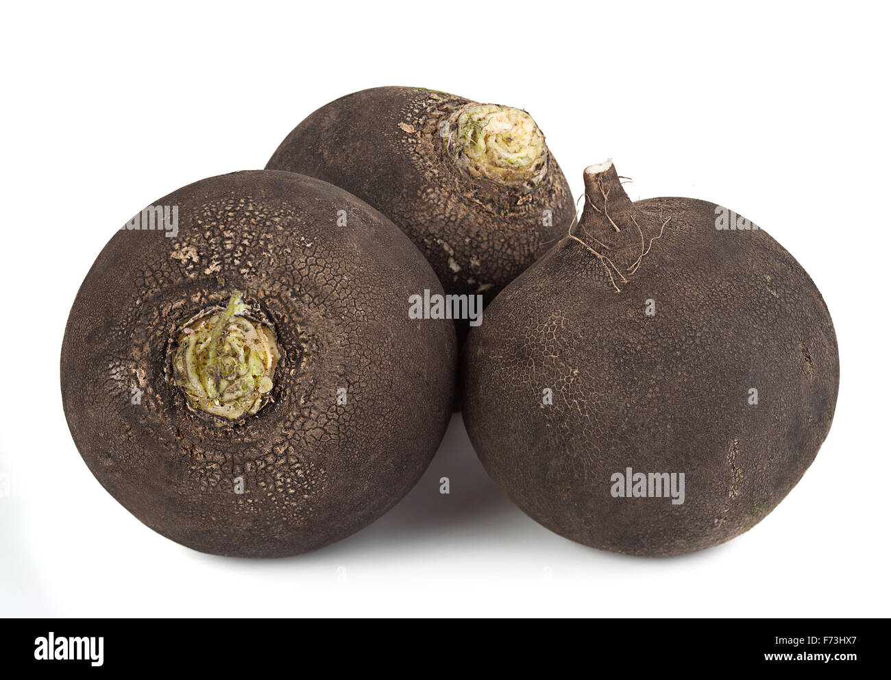 Schwarzer rettich -Fotos und -Bildmaterial in hoher Auflösung – Alamy