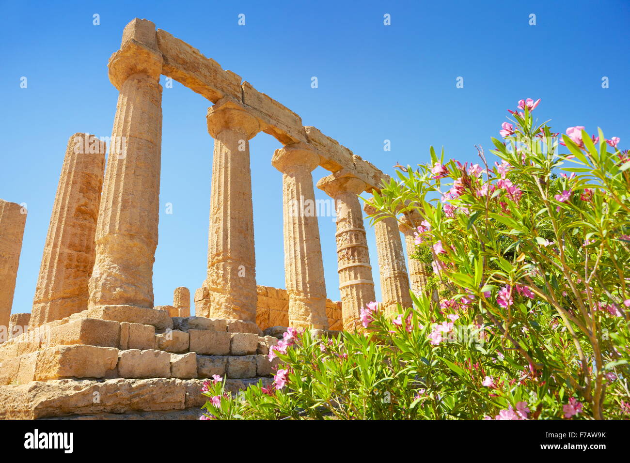 Tempel der Hera im Tal der Tempel (Valle dei Templi), Agrigento ...