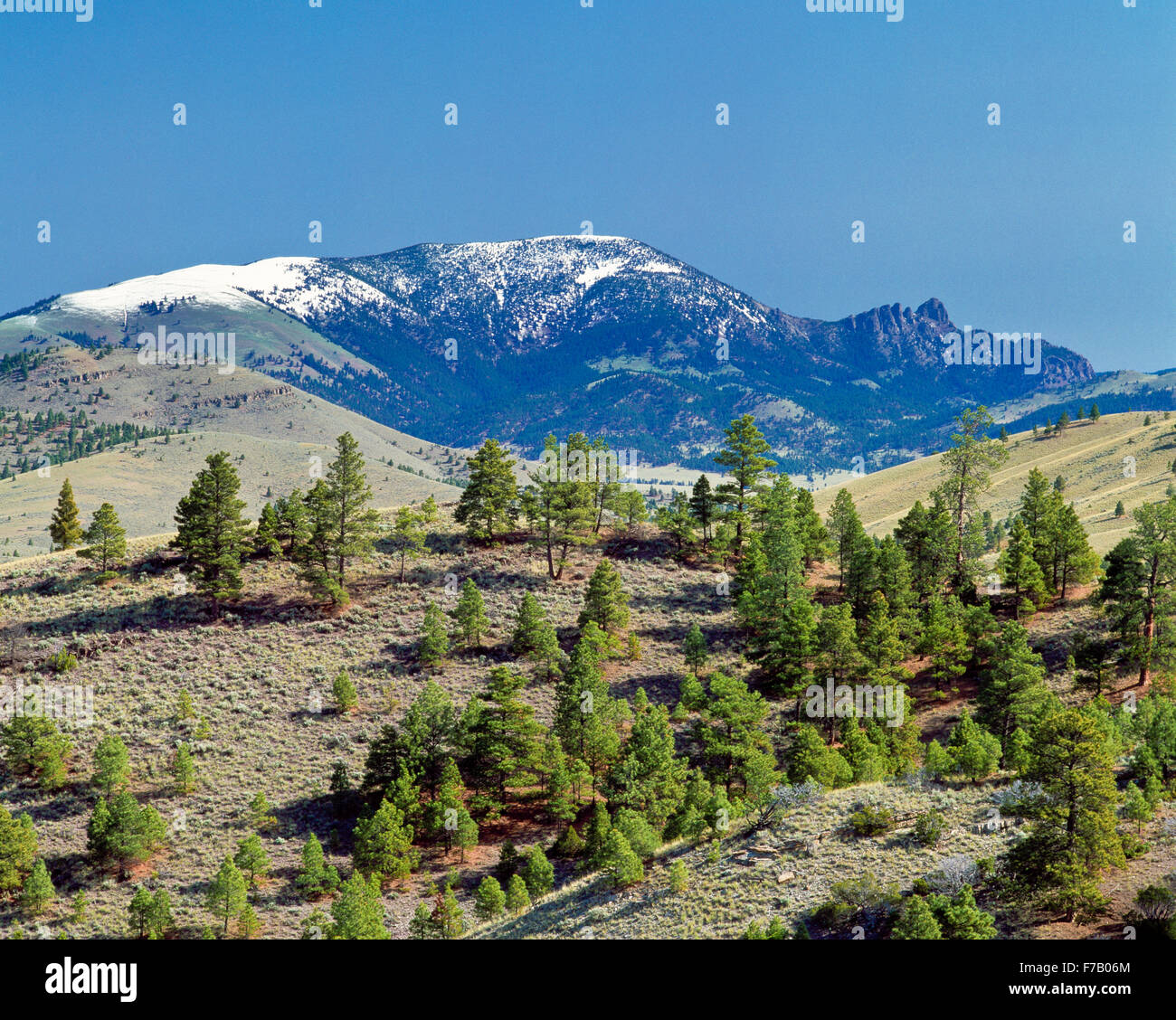 Schlafender riese beartooth berg -Fotos und -Bildmaterial in hoher ...