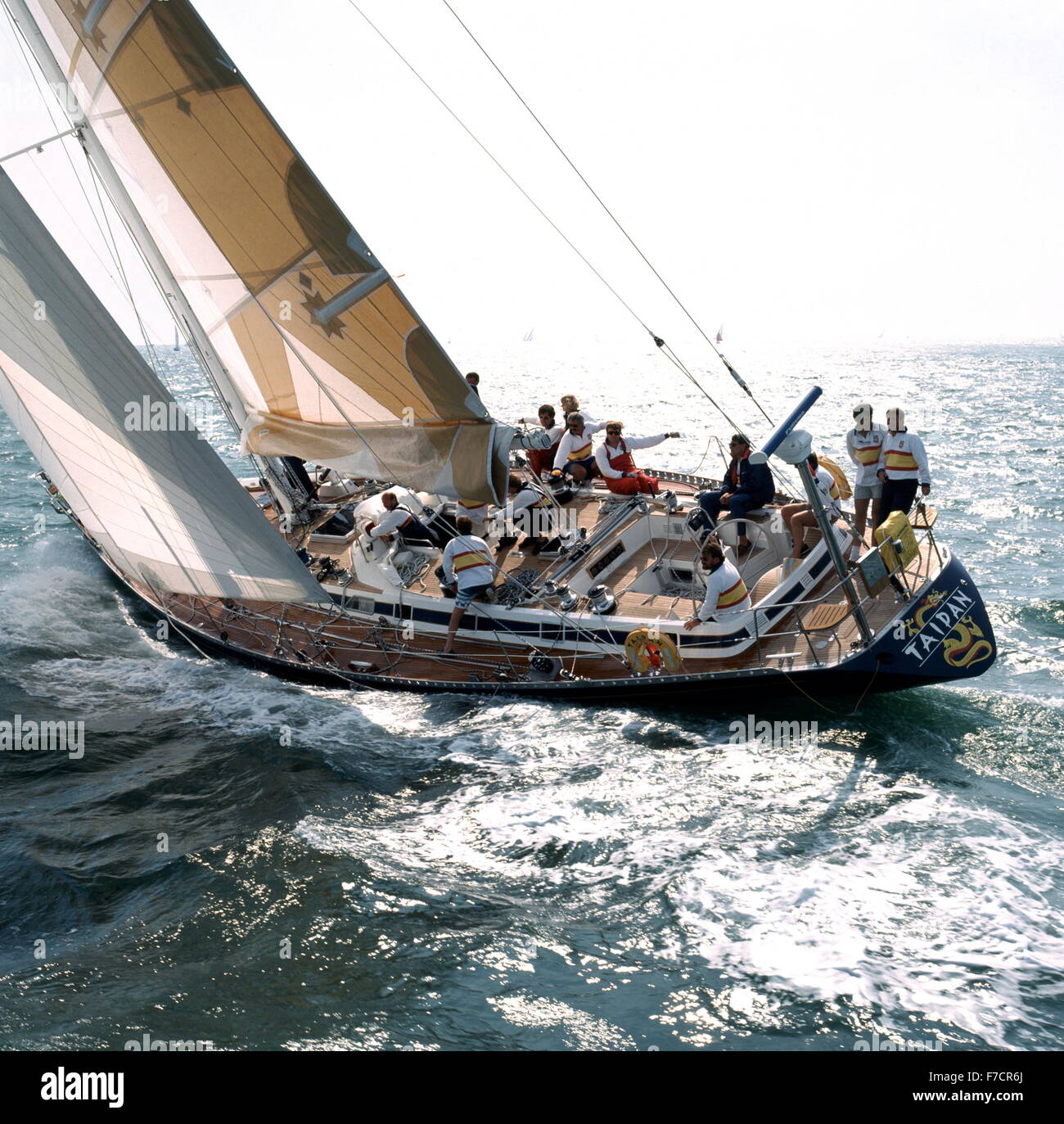 Der taipan -Fotos und -Bildmaterial in hoher Auflösung – Alamy