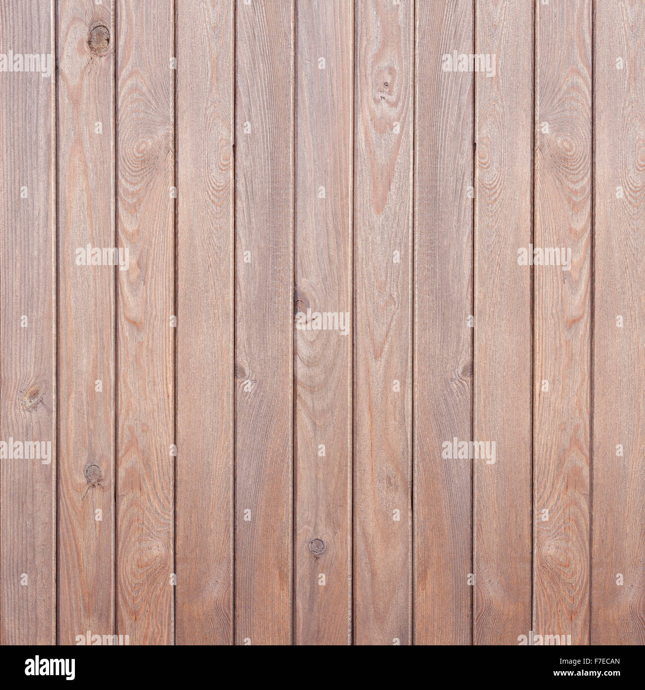 Fichtenholz textur -Fotos und -Bildmaterial in hoher Auflösung – Alamy