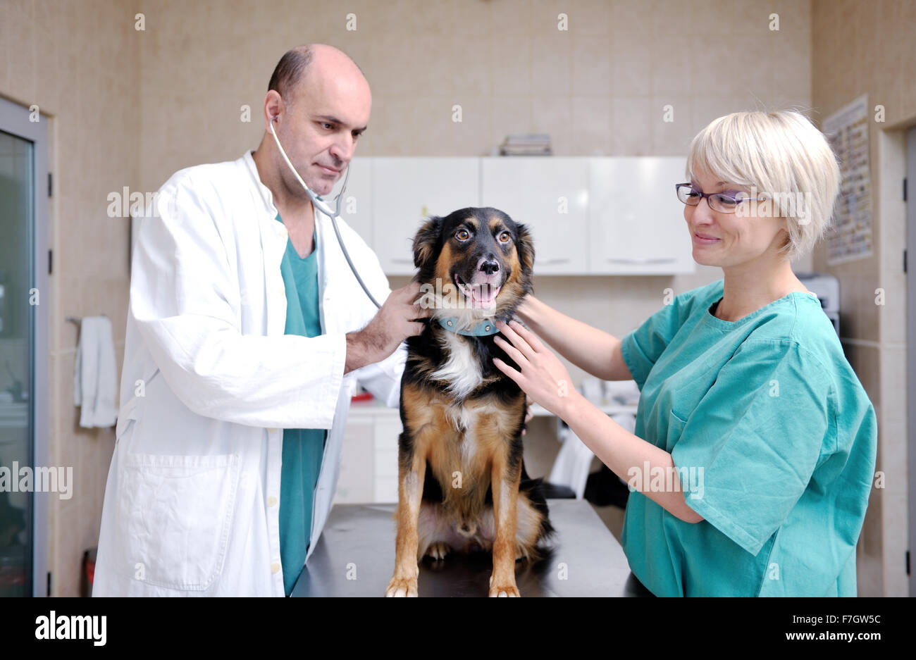 Porträt eines Tierarztes und Assistent in der Kleintierklinik am ...