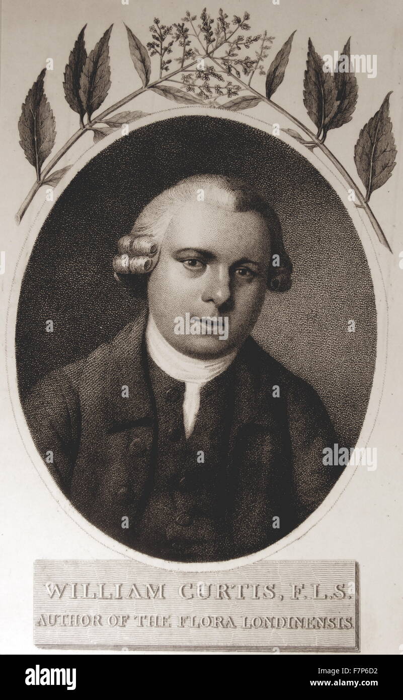 William curtis -Fotos und -Bildmaterial in hoher Auflösung – Alamy