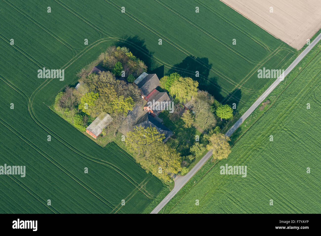 Goldenstedt lutten -Fotos und -Bildmaterial in hoher Auflösung – Alamy