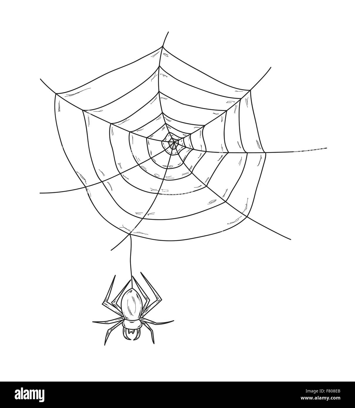 Web spinne Stock-Vektorgrafiken kaufen - Alamy