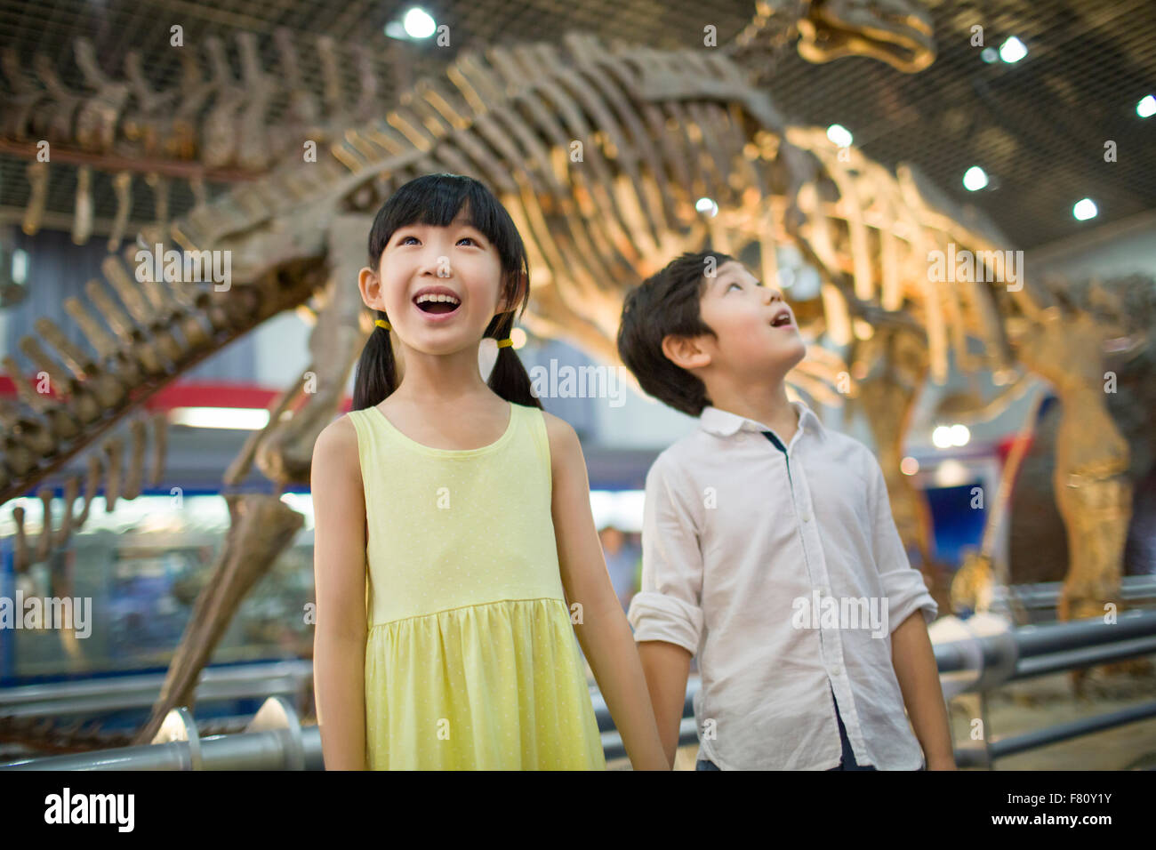 Fossil museum china -Fotos und -Bildmaterial in hoher Auflösung – Alamy