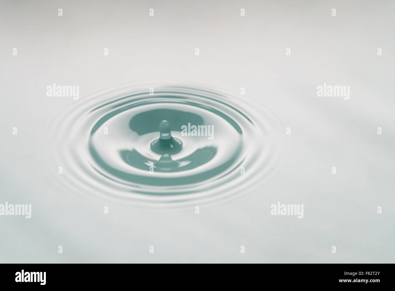 Wassertropfen foto -Fotos und -Bildmaterial in hoher Auflösung – Alamy