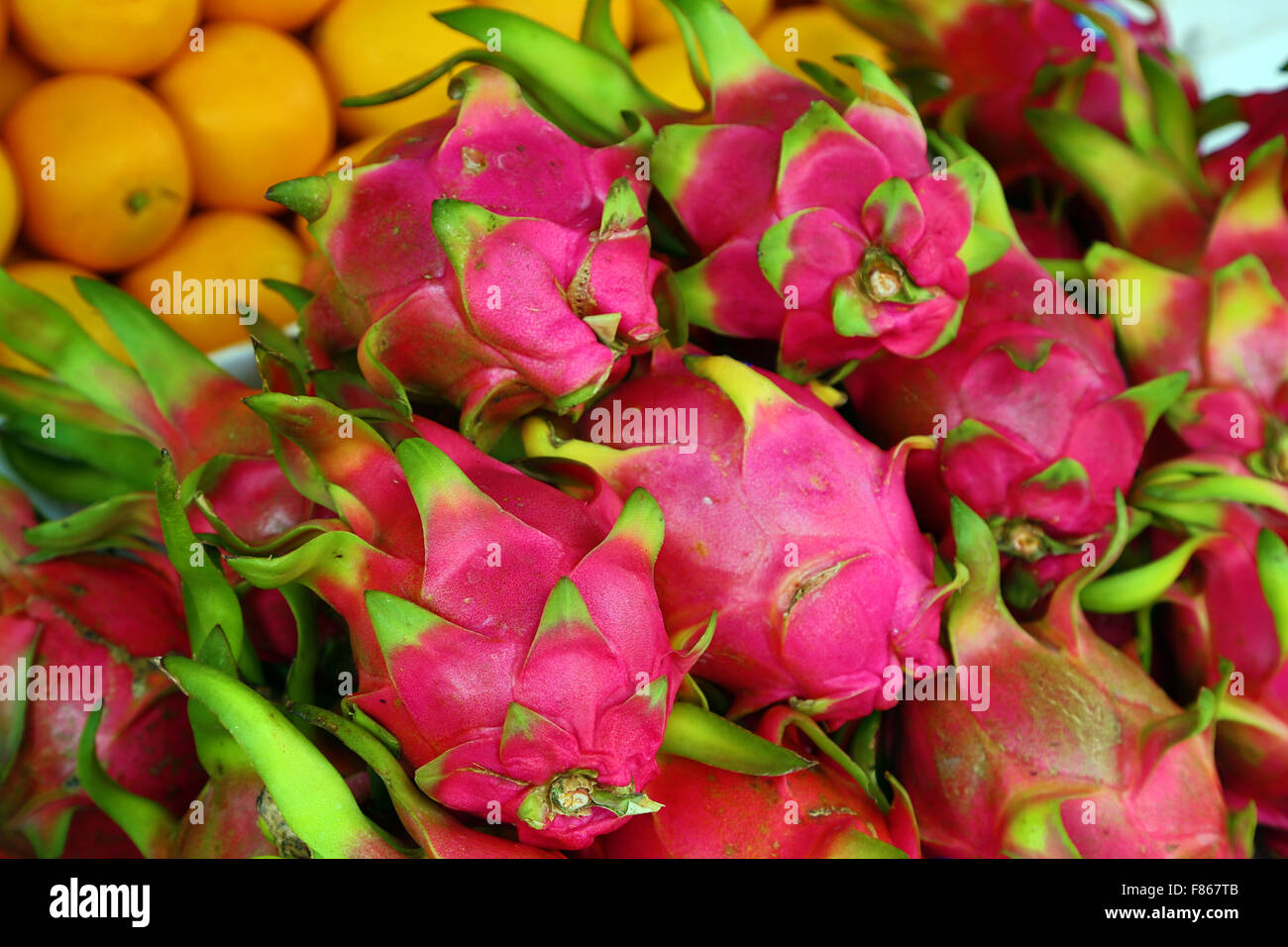 Dragon obst -Fotos und -Bildmaterial in hoher Auflösung – Alamy