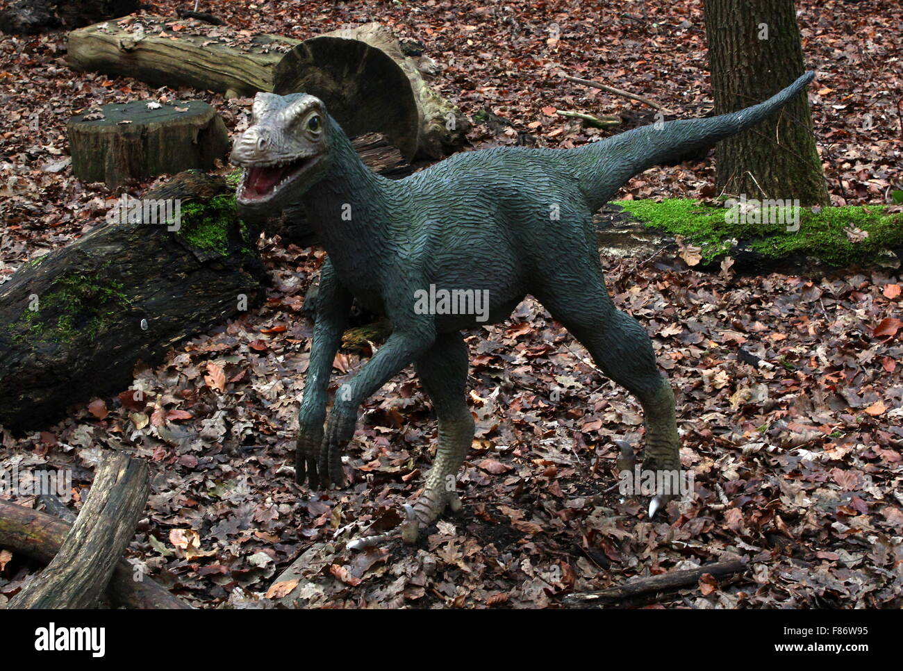 Velociraptor dinosaur -Fotos und -Bildmaterial in hoher Auflösung – Alamy