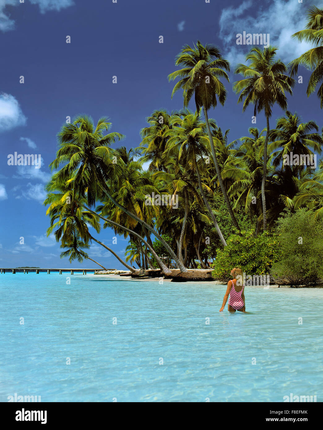 Nord Male Atoll Malediven Stockfotos und -bilder Kaufen - Alamy