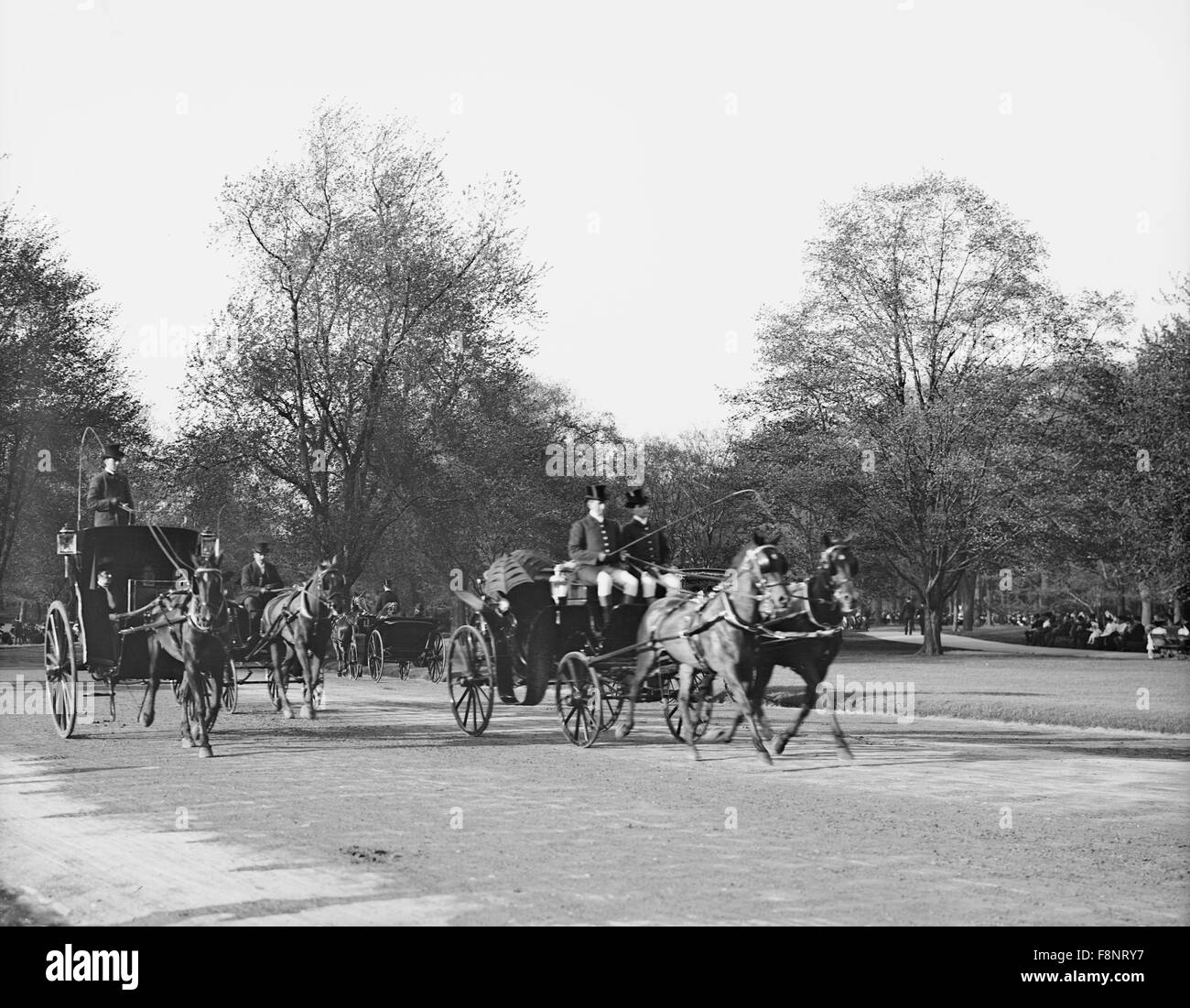 Horse-Drawn Wagen und Kutschen auf die Auffahrt, Central Park, New York ...