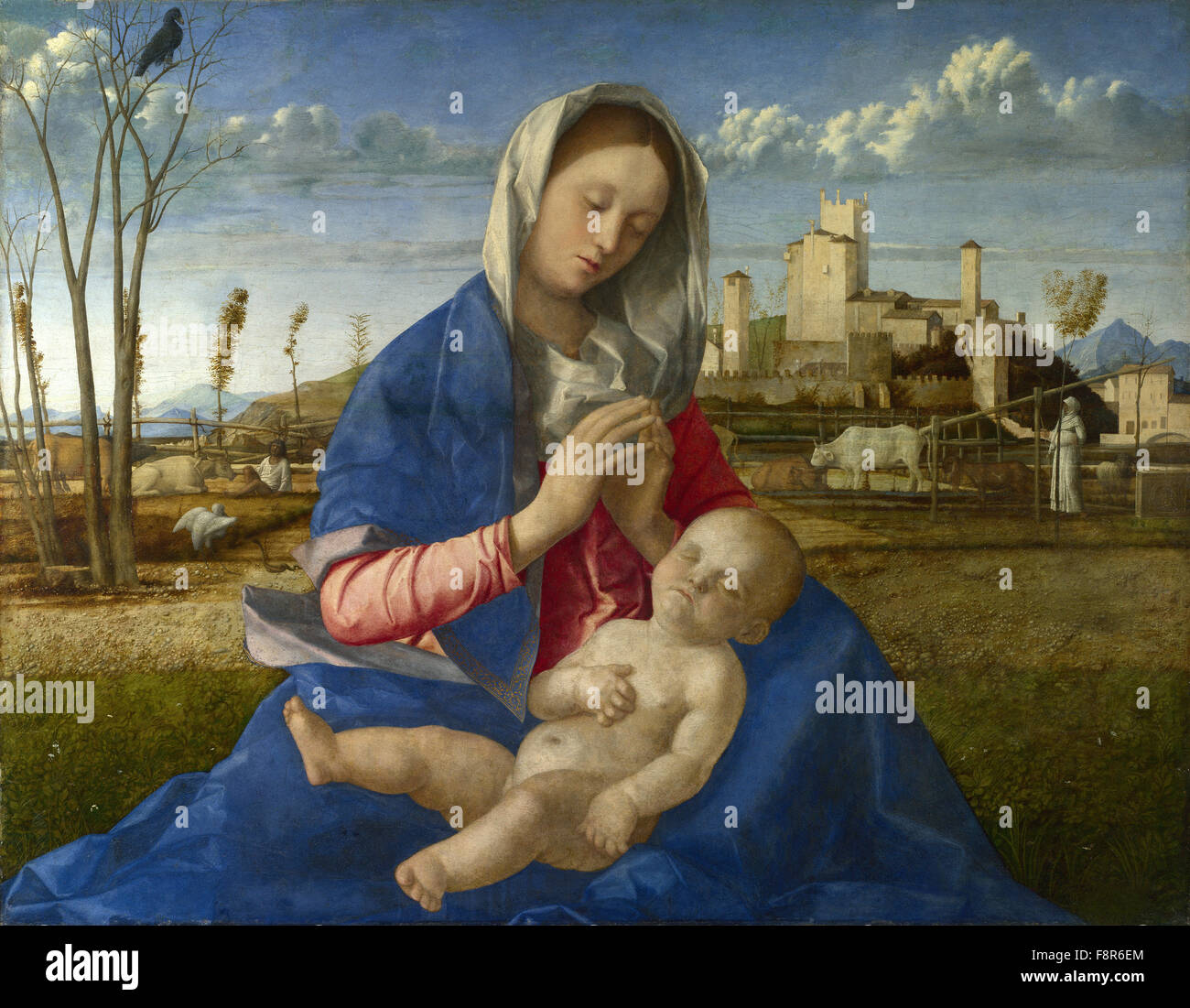 Giovanni Bellini - Giambellino - Madonna im grünen Stockfotografie - Alamy