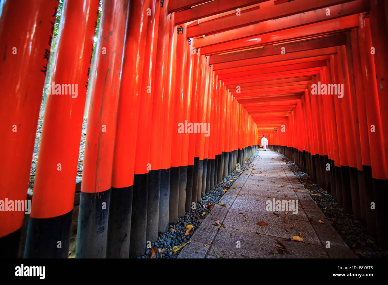 Torii in fushimi inari -Fotos und -Bildmaterial in hoher Auflösung – Alamy