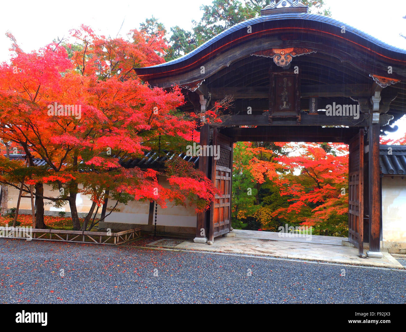 Nison in garten -Fotos und -Bildmaterial in hoher Auflösung – Alamy