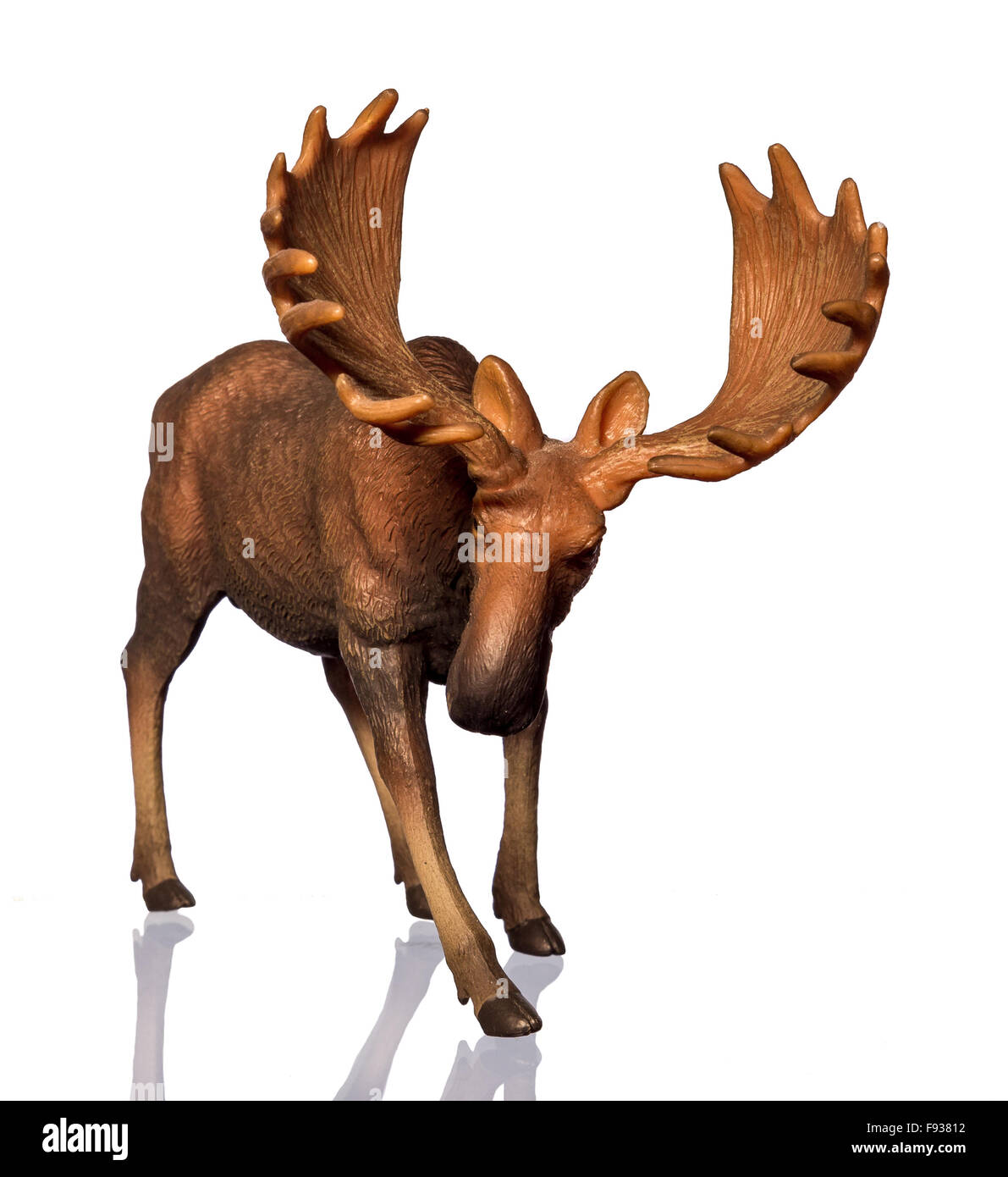 Elch Tier Tier Bild Stockfotos und -bilder Kaufen - Alamy