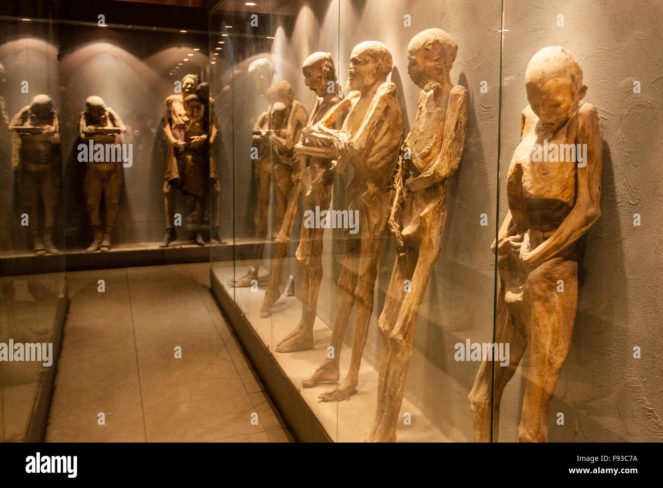 Die mumien -Fotos und -Bildmaterial in hoher Auflösung – Alamy