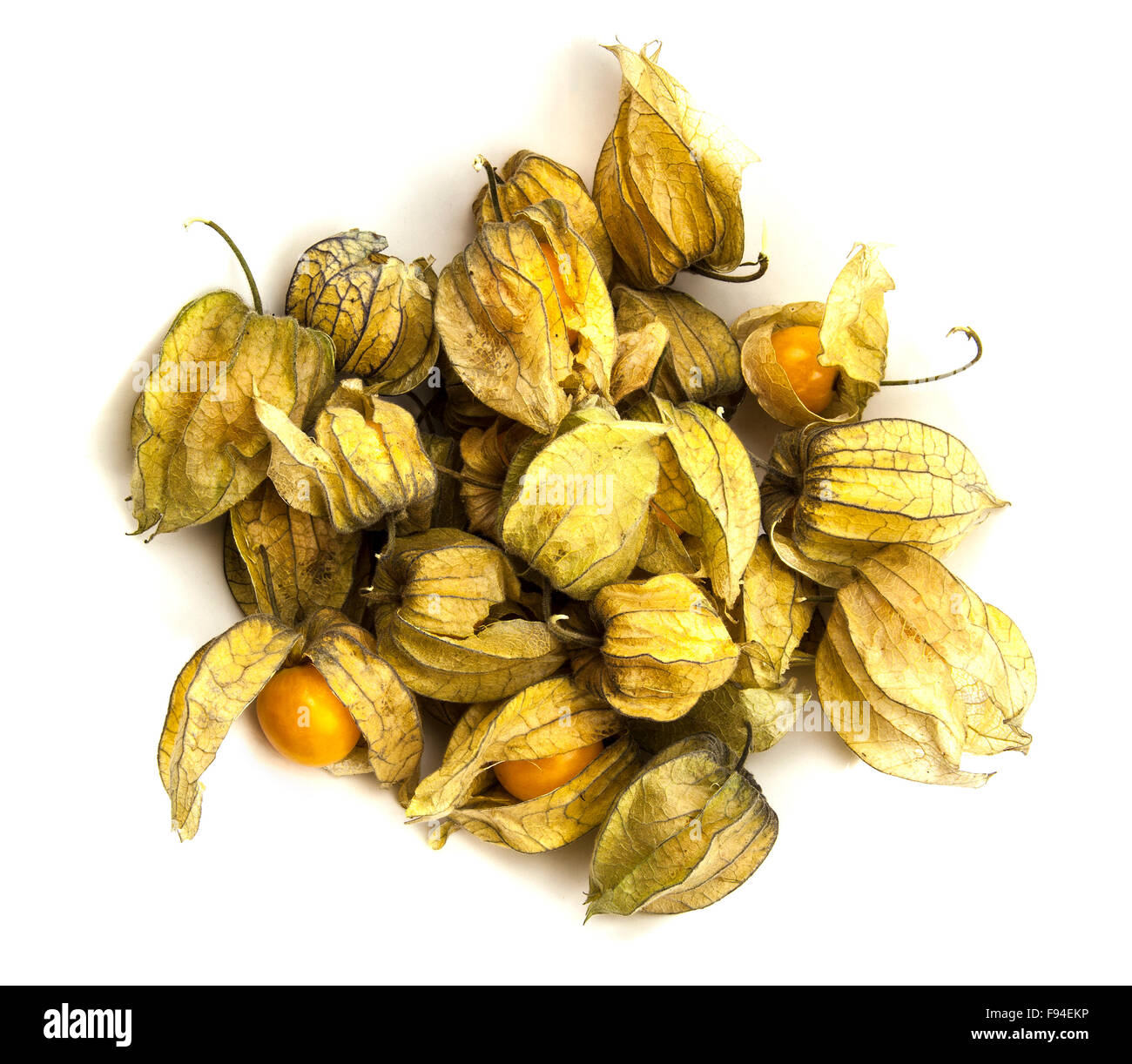 Physalis obststudio -Fotos und -Bildmaterial in hoher Auflösung – Alamy