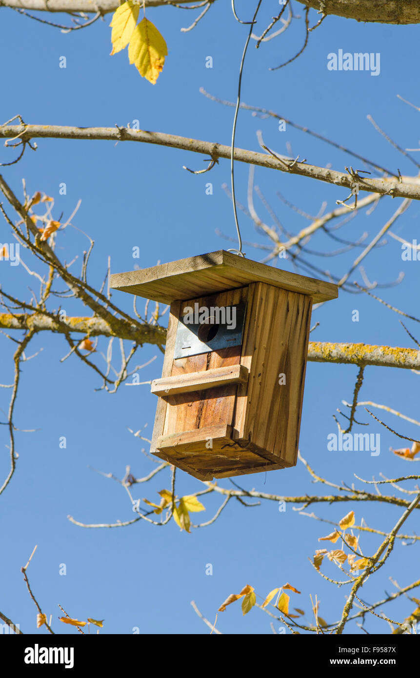 Nistkasten Aufhangen Baum