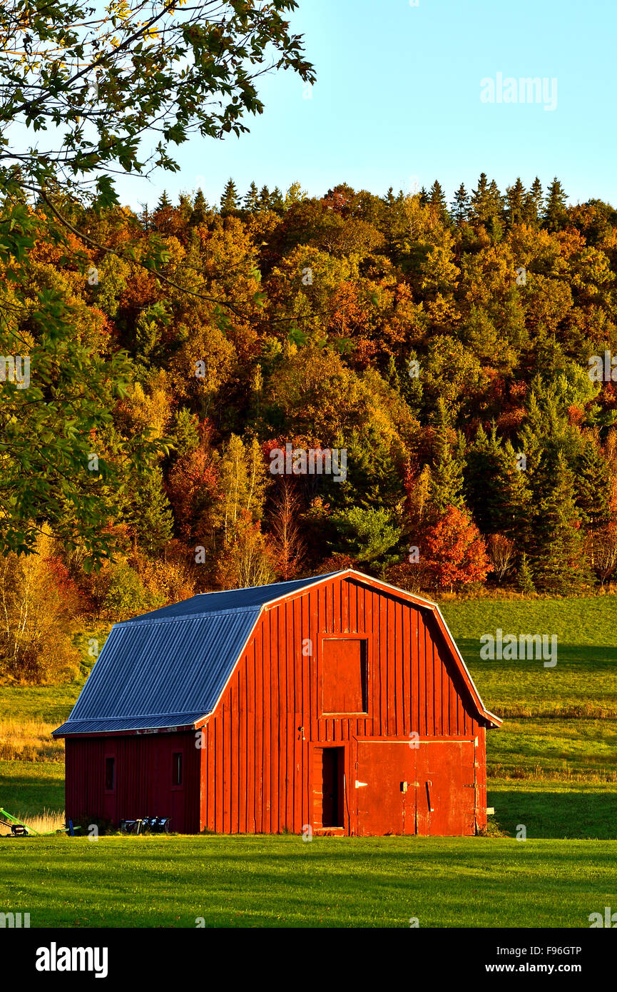 Vertikales hintergrundbild -Fotos und -Bildmaterial in hoher Auflösung – Alamy