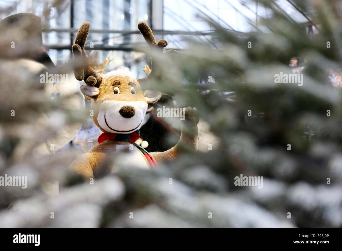 Rudolph rentier -Fotos und -Bildmaterial in hoher Auflösung – Alamy