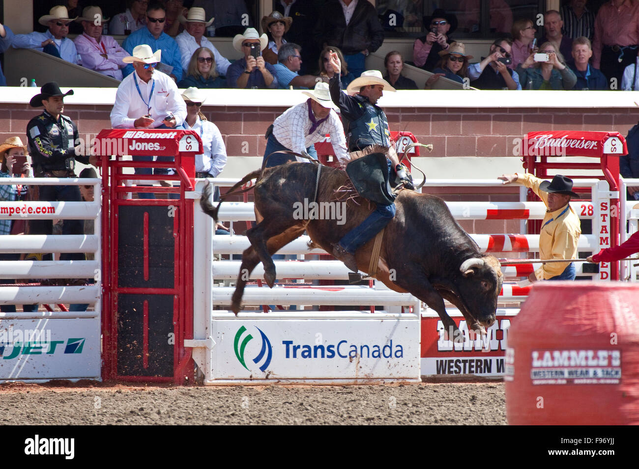 Alberta rodeo -Fotos und -Bildmaterial in hoher Auflösung – Alamy