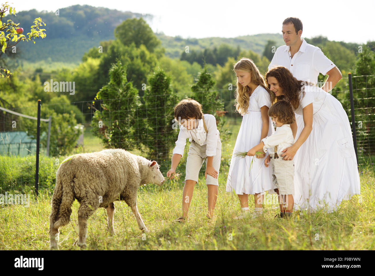 Tiere auf dem bauernhof -Fotos und -Bildmaterial in hoher Auflösung – Alamy