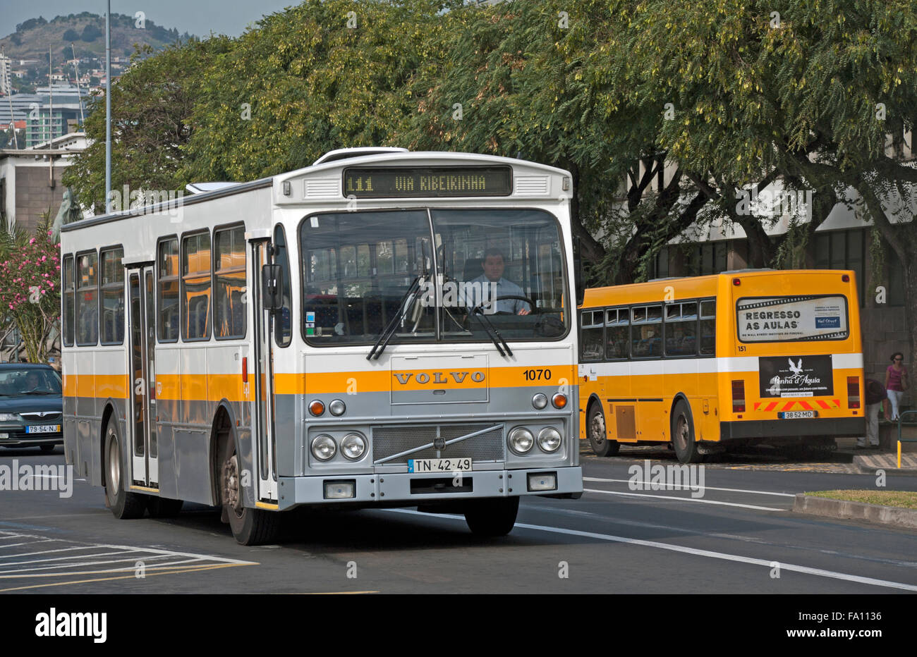Funchal, Reisebus, Madeira, Portugal Stockfotografie - Alamy