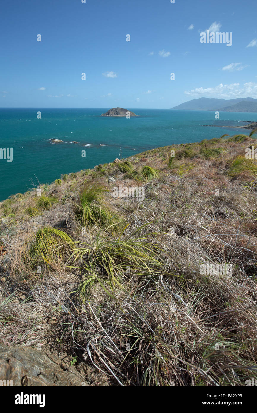 Cooktown great barrier reef -Fotos und -Bildmaterial in hoher Auflösung ...