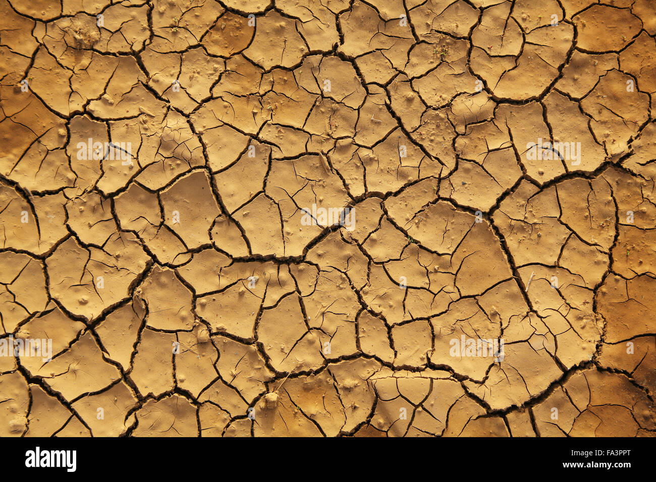 Trockene rissige Erde Textur, Hintergrund Stockfotografie - Alamy