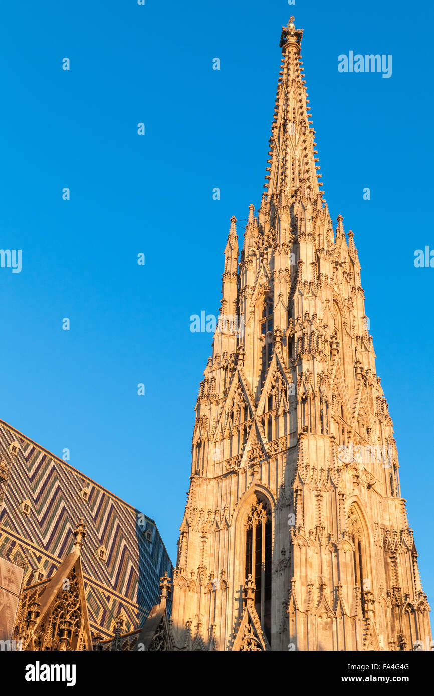 Turm der Stephansdom oder Stephansdom in Wien, Österreich ...