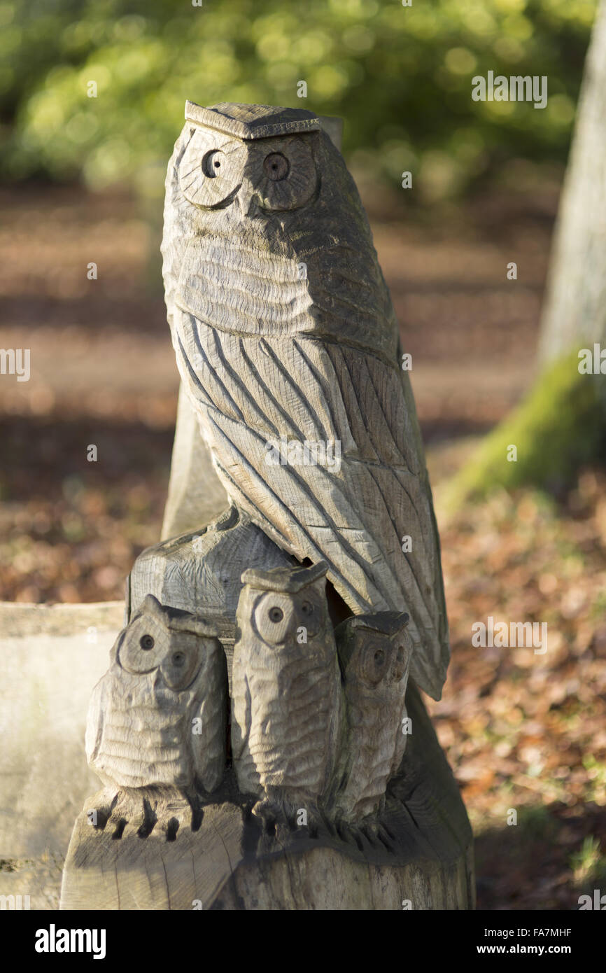 Holz geschnitzte eulen -Fotos und -Bildmaterial in hoher Auflösung – Alamy