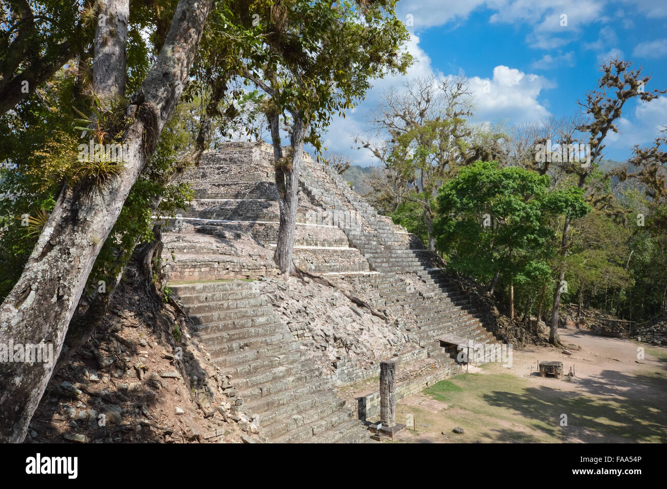 Stela maya ruins copan honduras -Fotos und -Bildmaterial in hoher ...