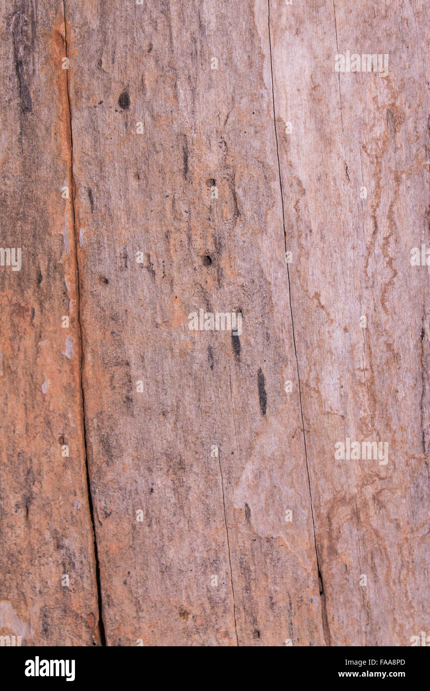 Old wood texture -Fotos und -Bildmaterial in hoher Auflösung – Alamy