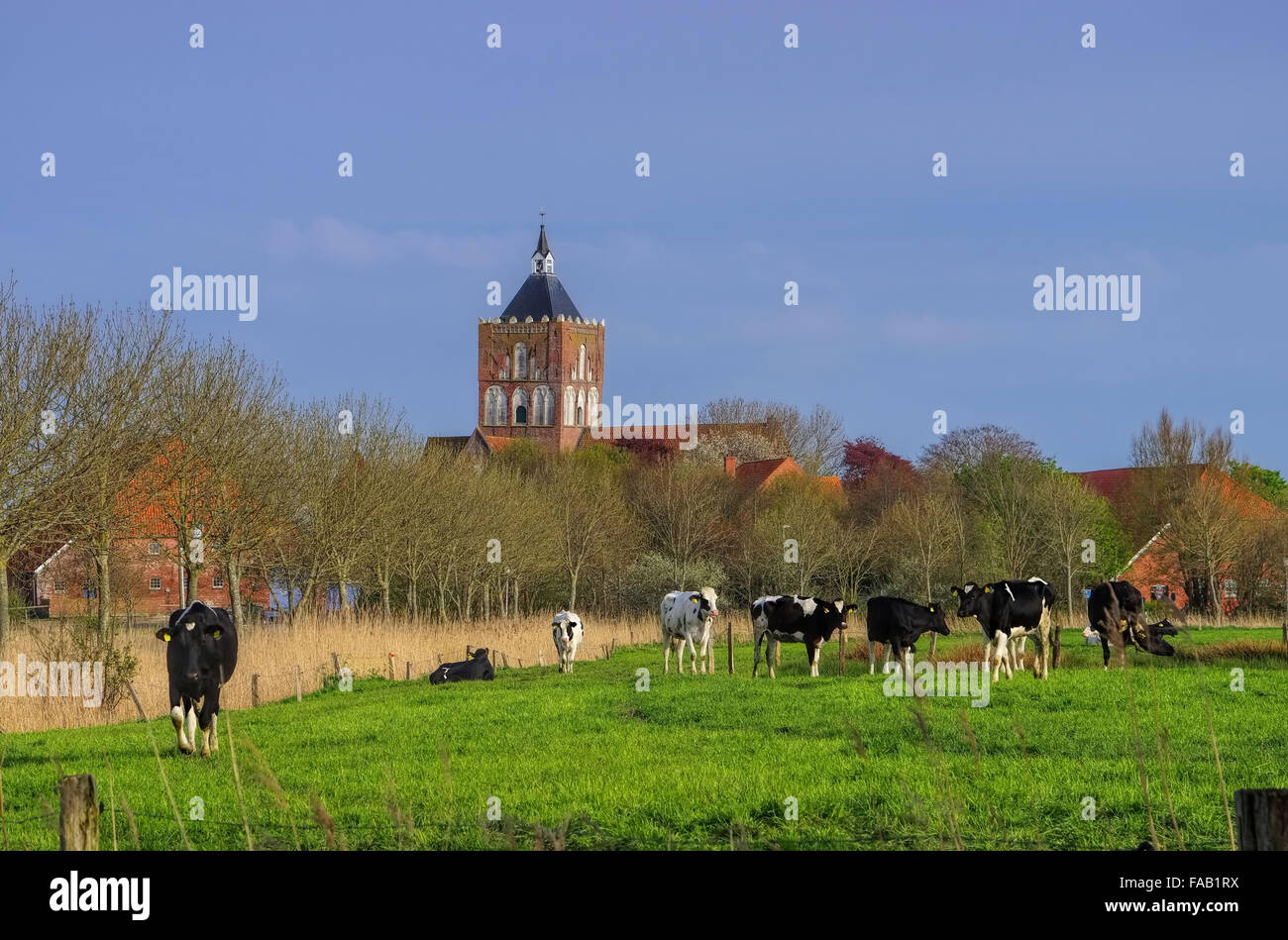Ostfriesland pilsum -Fotos und -Bildmaterial in hoher Auflösung – Alamy