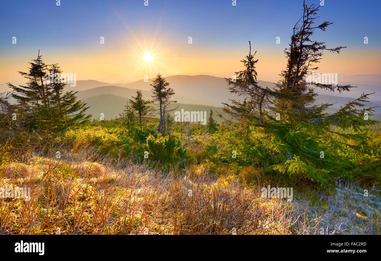 Polnische Natur Stockfotos und -bilder Kaufen - Alamy
