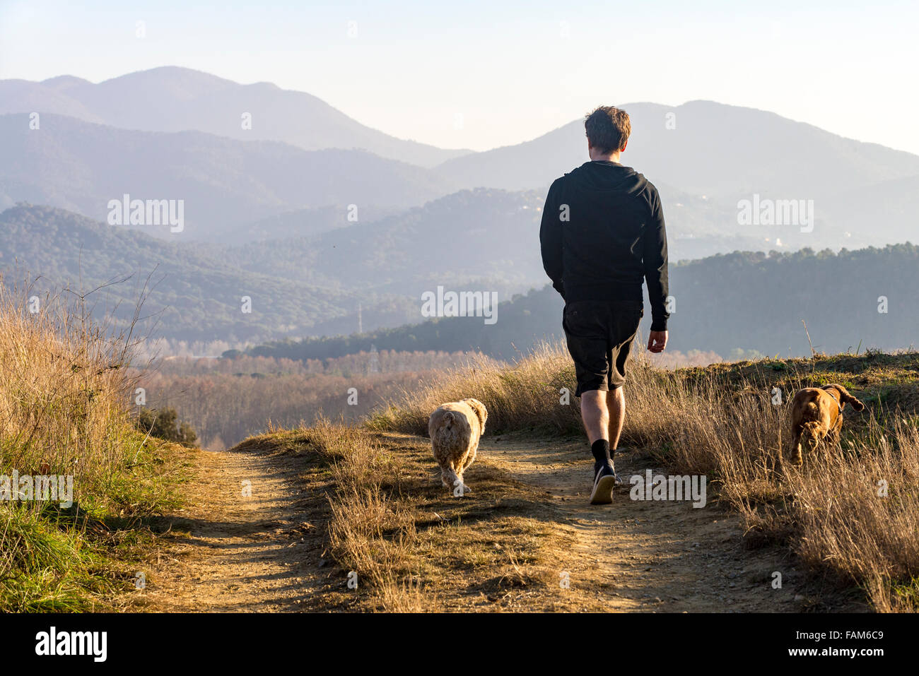 Ein Mann geht weg auf einem Feldweg mit 2 Hunden mit Bergen im ...