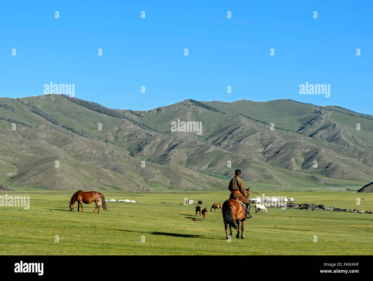 Khangai gebirges -Fotos und -Bildmaterial in hoher Auflösung – Alamy