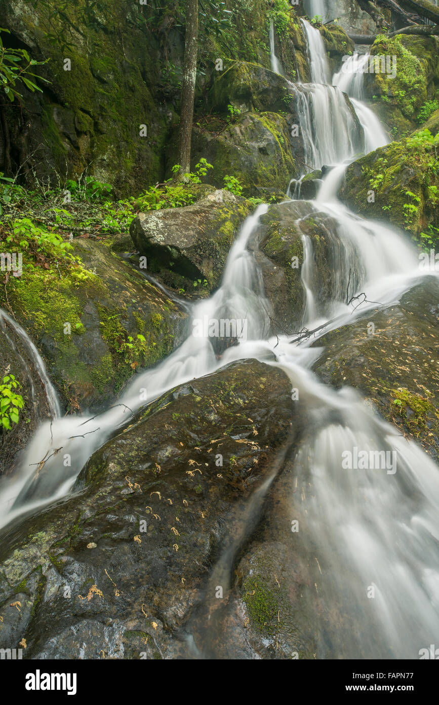 Ort der tausend Tropfen entlang der Roaring Fork Motor Naturlehrpfad ...