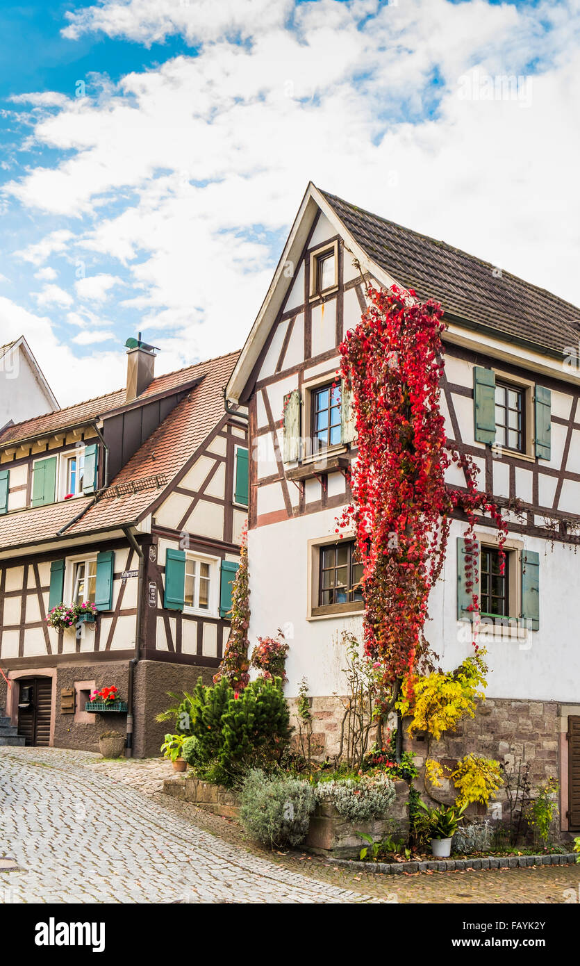 überwuchert, Fachwerkbau, Altstadt, Gernsbach, Schwarzwald, Baden ...
