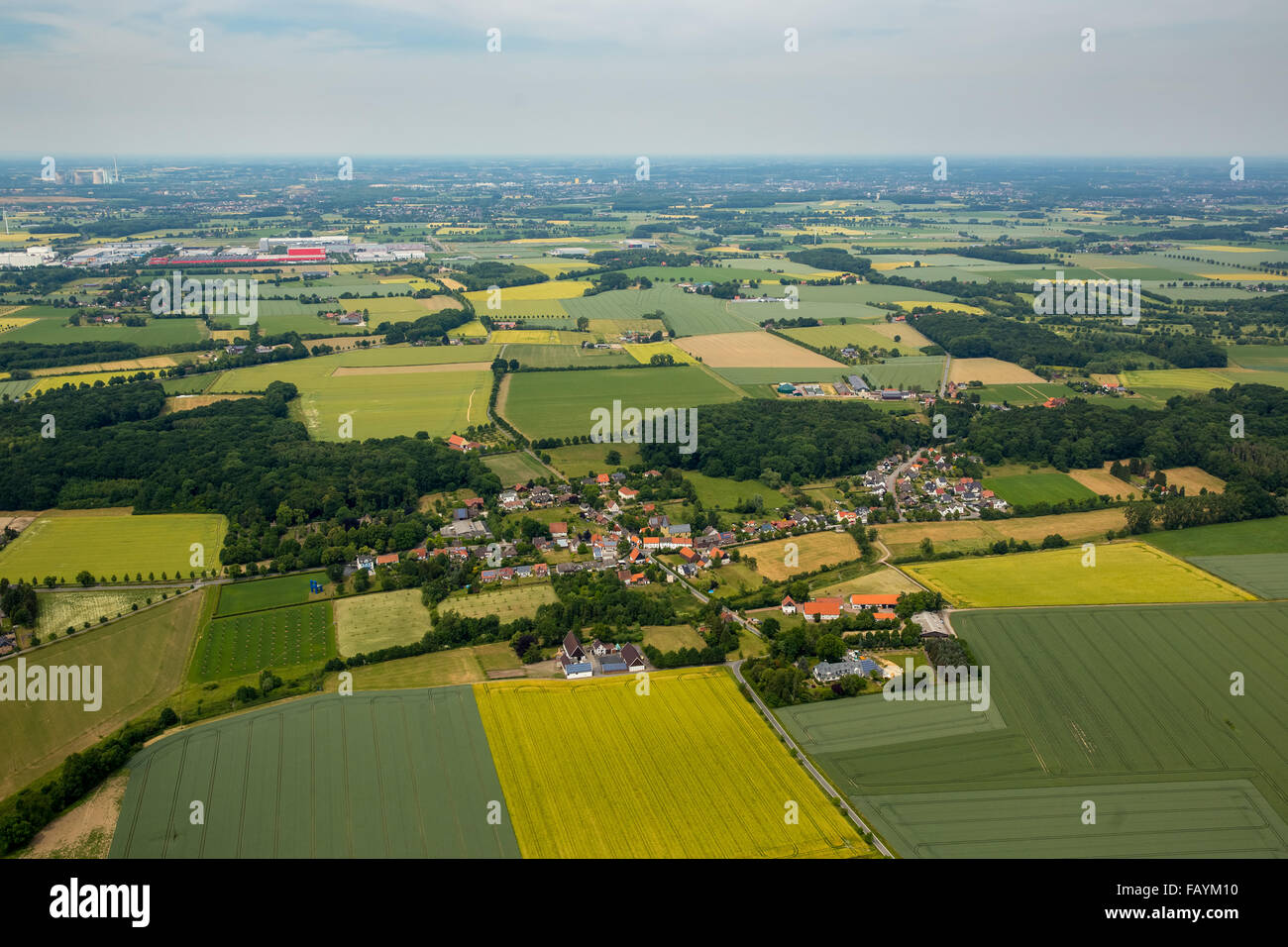 Bonen flierich -Fotos und -Bildmaterial in hoher Auflösung – Alamy