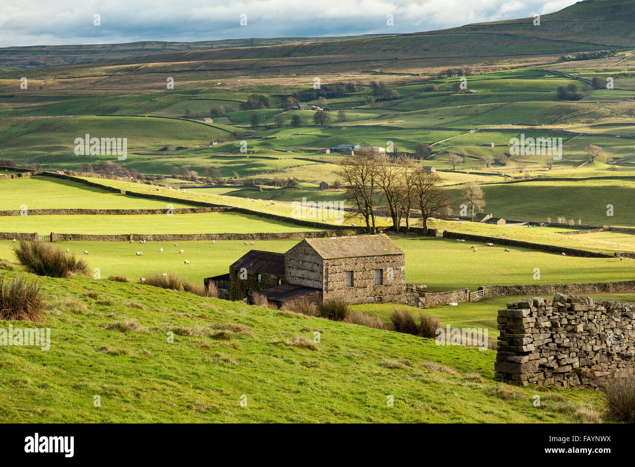 Yorkshire landschaft -Fotos und -Bildmaterial in hoher Auflösung – Alamy