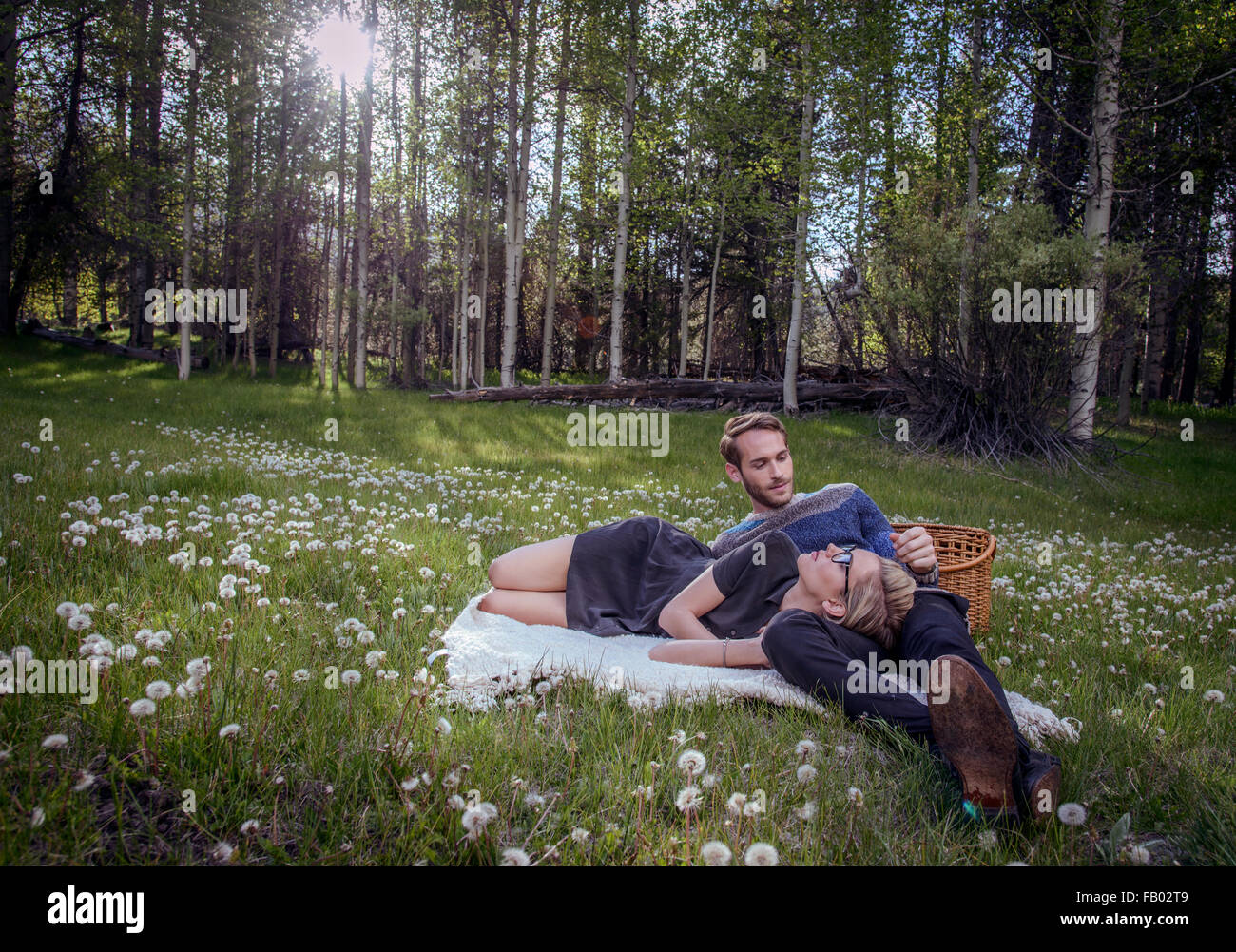 Having romantic picnic in forest -Fotos und -Bildmaterial in hoher ...