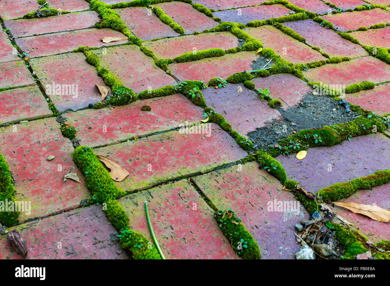 Roter backsteinweg -Fotos und -Bildmaterial in hoher Auflösung – Alamy