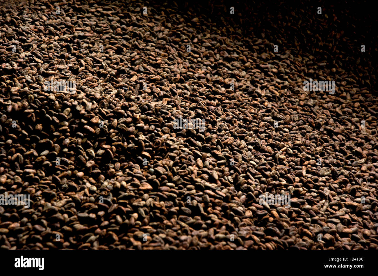 Kakaobohnen Trocknen Stockfotos und -bilder Kaufen - Alamy