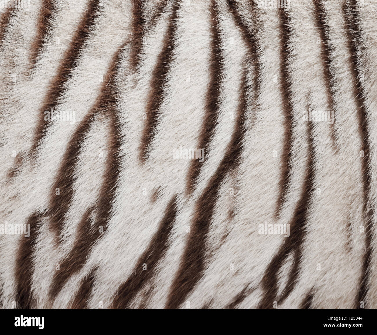 Animal skin -Fotos und -Bildmaterial in hoher Auflösung – Alamy