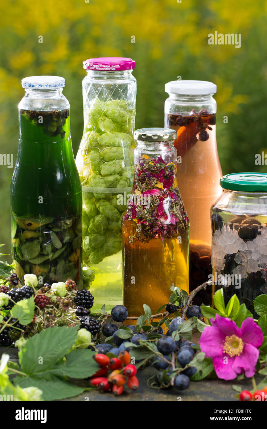 Fruit schnaps -Fotos und -Bildmaterial in hoher Auflösung – Alamy