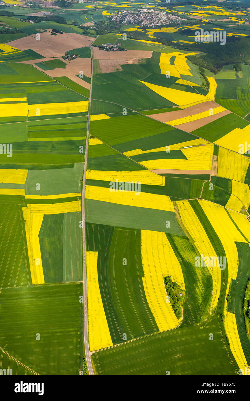 Luftbild, landwirtschaftliche Ackerland, Felder, gelb blühenden Raps Felder in der Nähe von ...