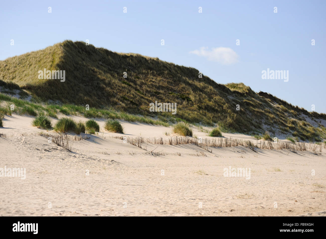 Insel sylt -Fotos und -Bildmaterial in hoher Auflösung – Alamy
