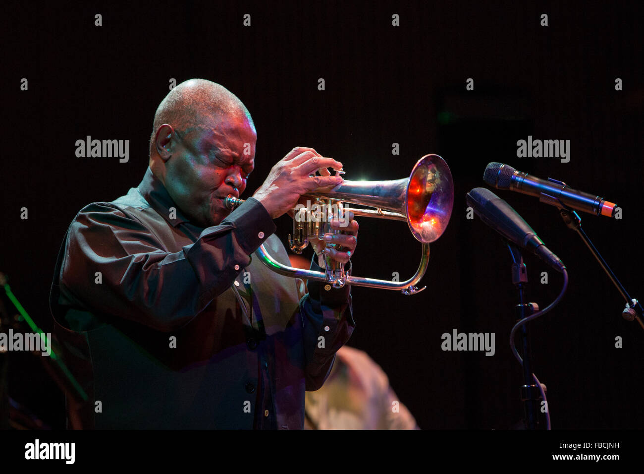Hugh masekela -Fotos und -Bildmaterial in hoher Auflösung – Alamy